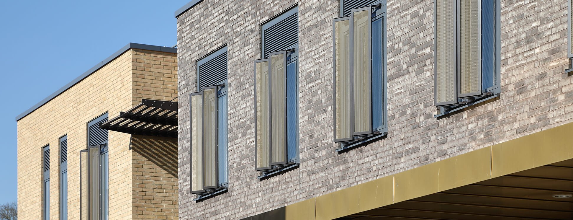 Sun Screening | Contrasol